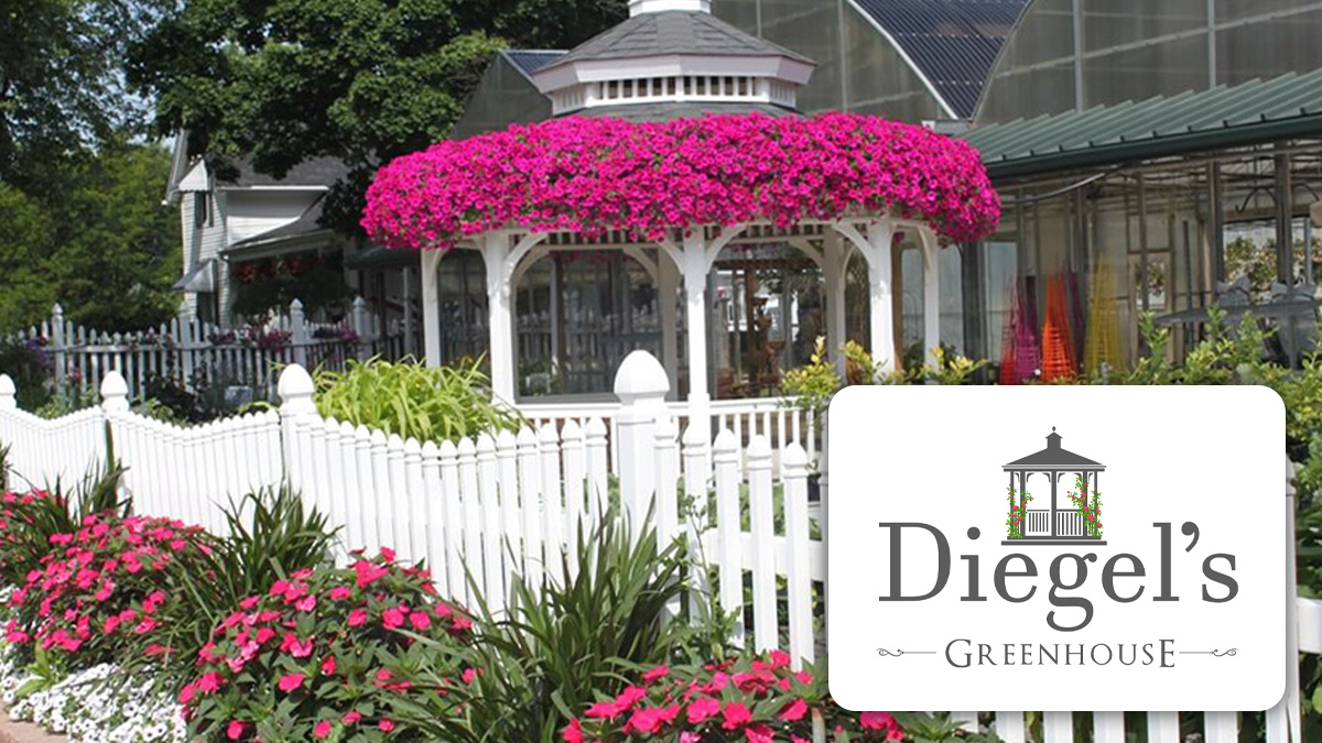Season Archives - Diegel's Greenhouse